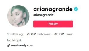 HOTTEST TIKTOK GIRLS IN 2026 (RANKED BY FOLLOWERS & ENGAGEMENT) | Amra ...